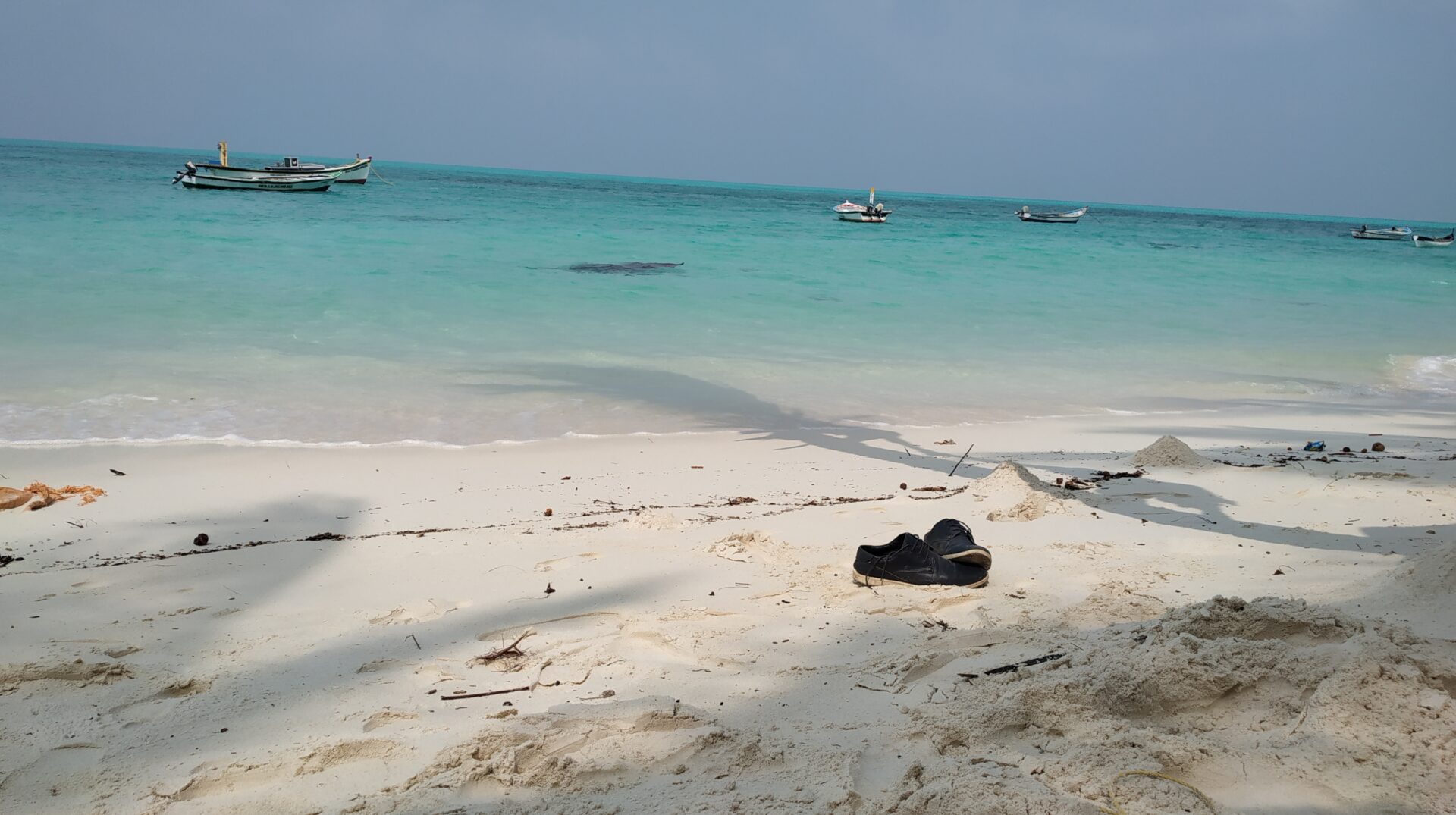 Captivating Lakshadweep: Explore Our Stunning Gallery