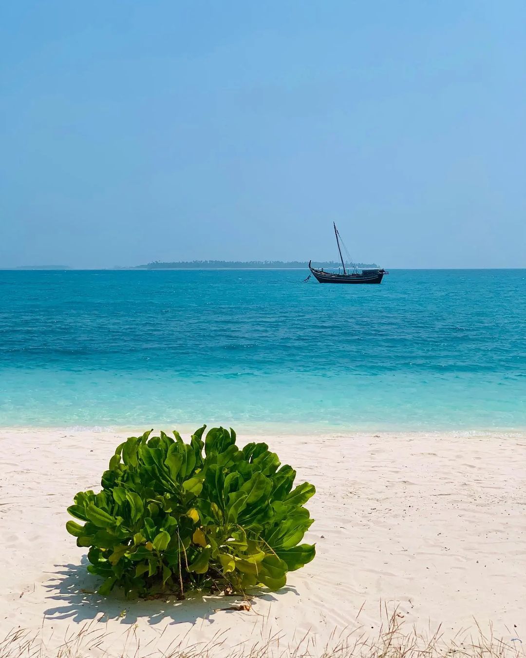 Captivating Lakshadweep: Explore Our Stunning Gallery